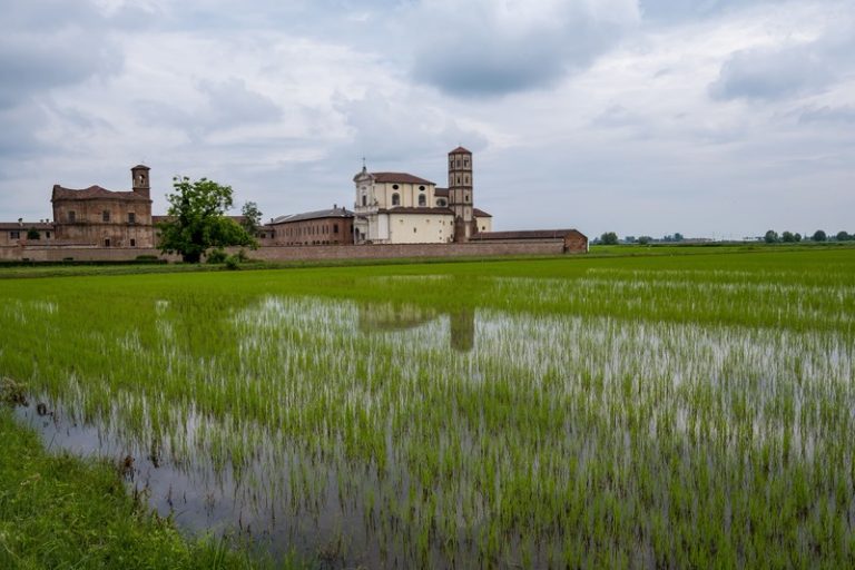 Vercelli, Cinque Splendide Pieve Immersi nelle Risaie - Turismo Weekend